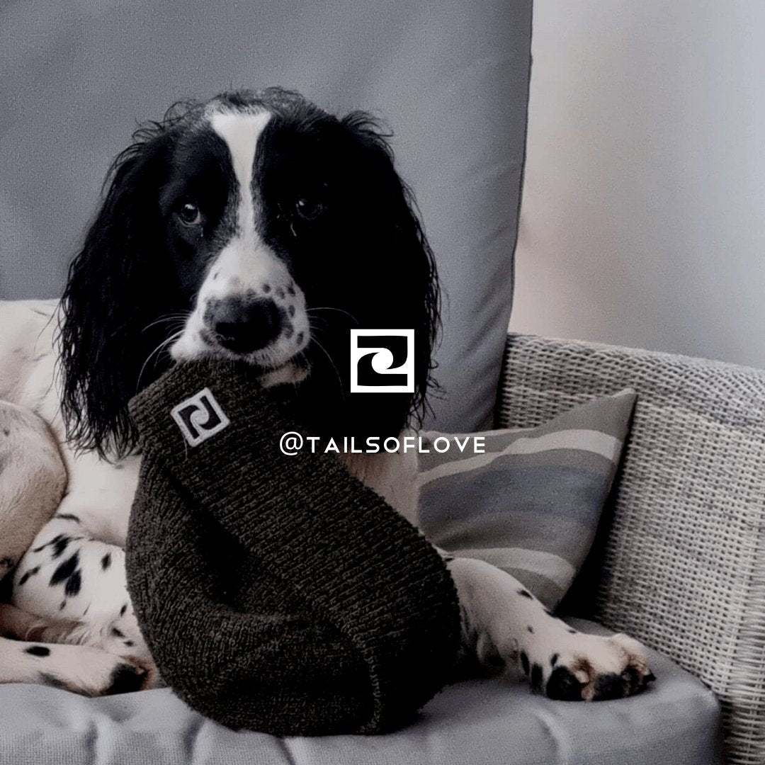 Manchester & Cheshire Dogs Home – ryde.store